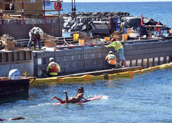Lahaina’s new pier in the offing | News, Sports, Jobs - Maui News